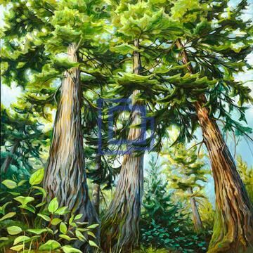 Vicki English - D'or Art Consultants: Full-service Art Consulting in ...