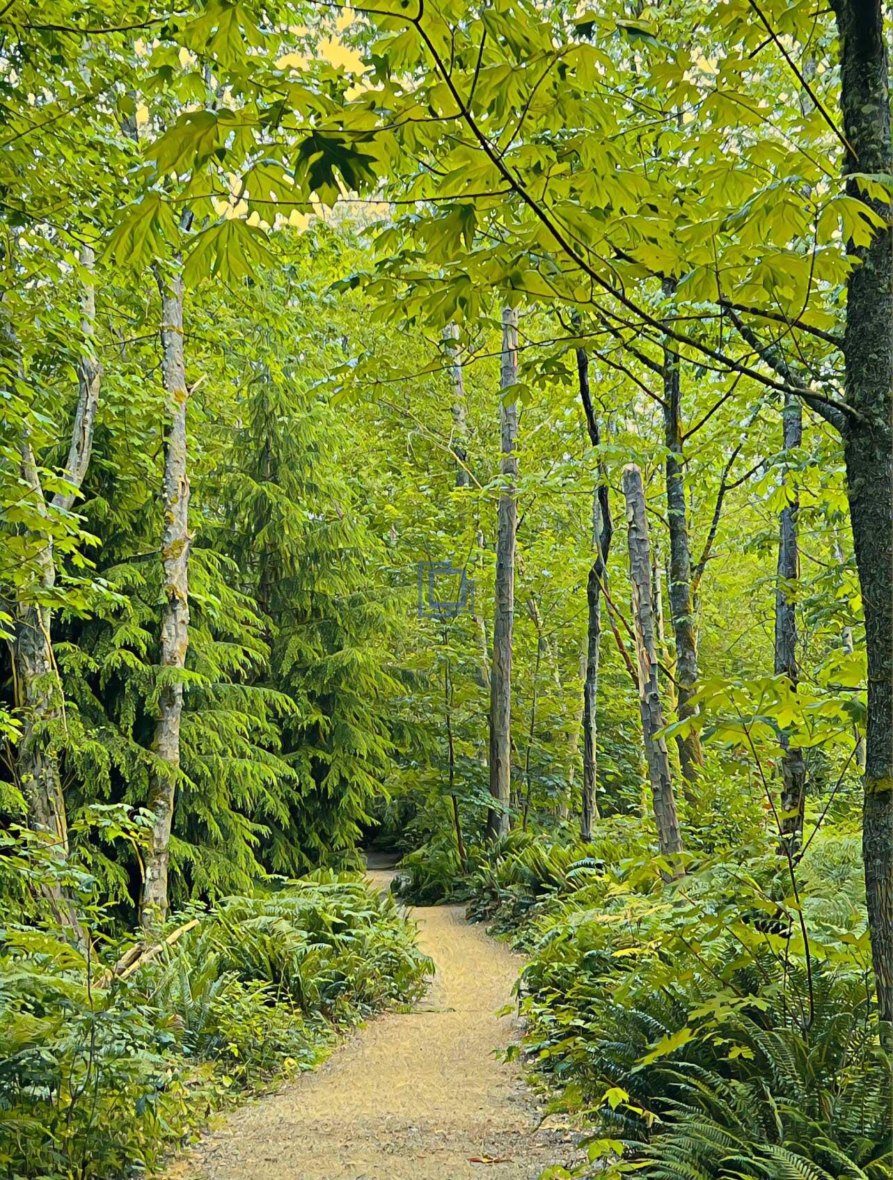 Coloured Trees - D'or Art Consultants: Full-service Art Consulting in Vancouver, Canada. We ...